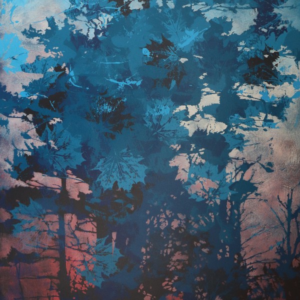 Judy Willemsma Portfolio – View paintings by Judy Willemsma